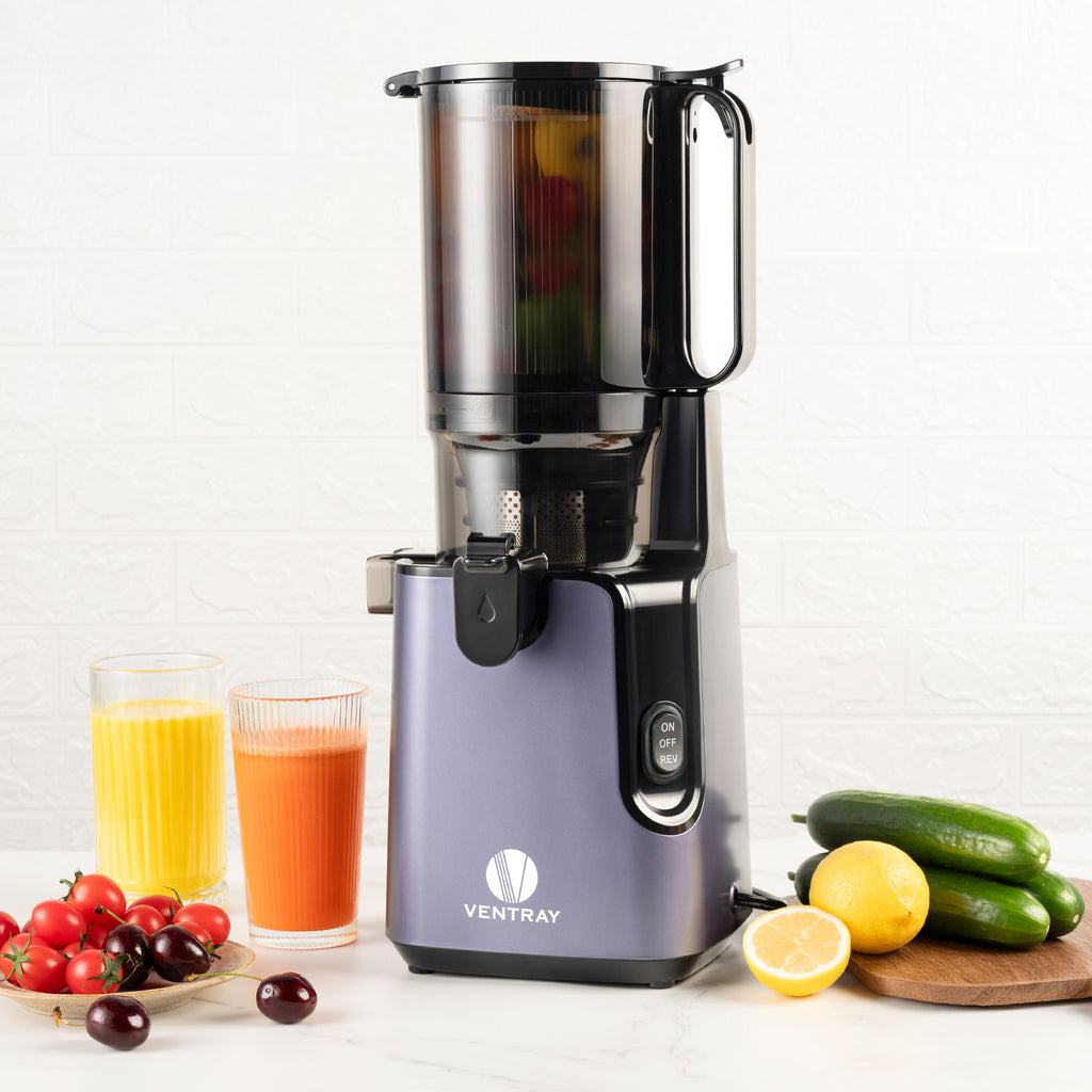 Ventray 905 Cold Press Juicer – Ventray USA | Best Masticating Juicer ...