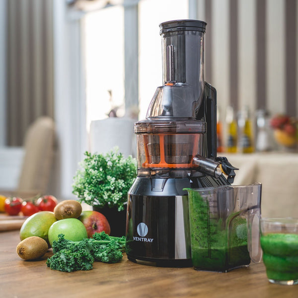 Ventray 808 Cold Press Masticating Juicer – Ventray USA | Best ...